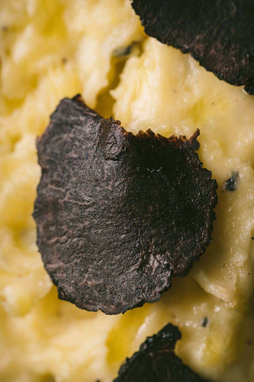 Recette de purée à la truffe pour accompagner vos plats festifs